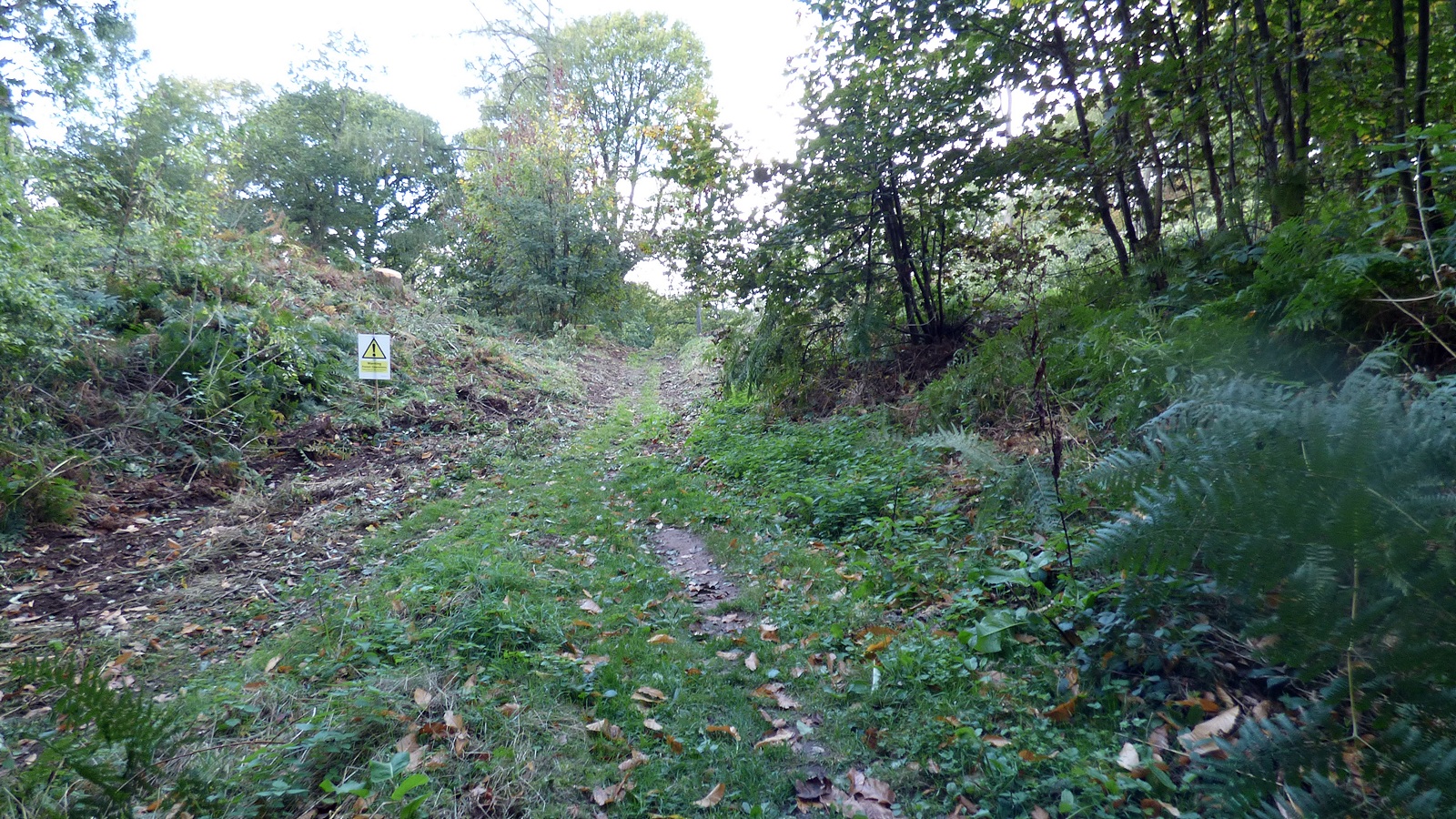 Aconbury Camp, Aconbury - 1001754 | Historic England