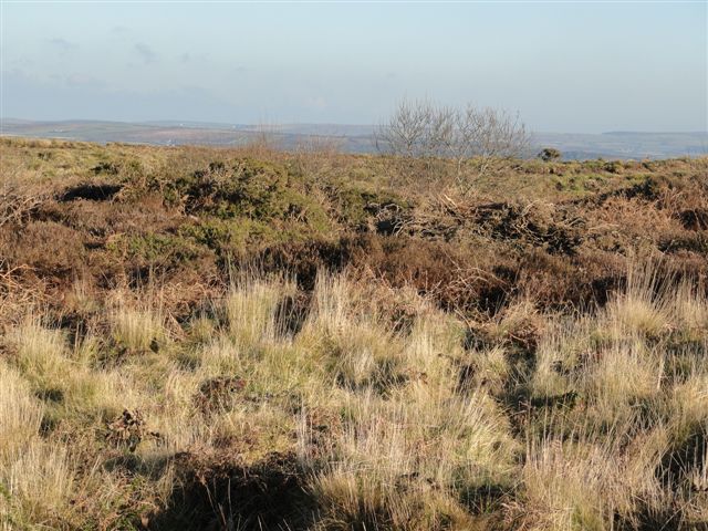 Iron Age defended settlement, 330m south east of Caer Bran Farm ...