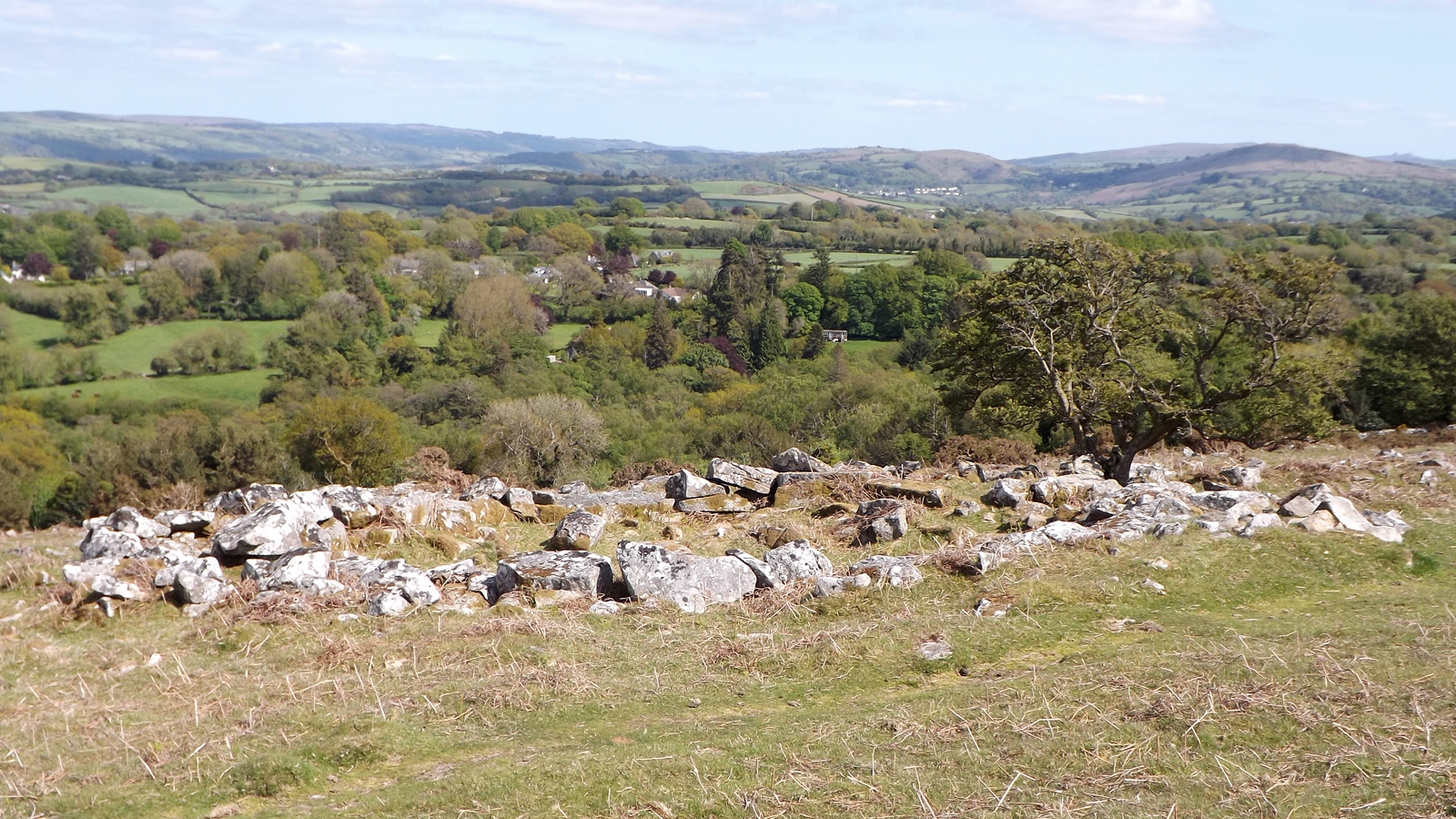 Coaxial field system, associated and later remains at Throwleigh Common ...